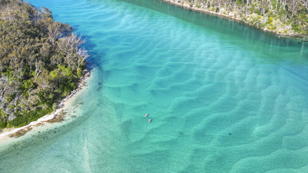 Pambula River Kayak Tour near Merimbula and Eden - Navigate Expeditions